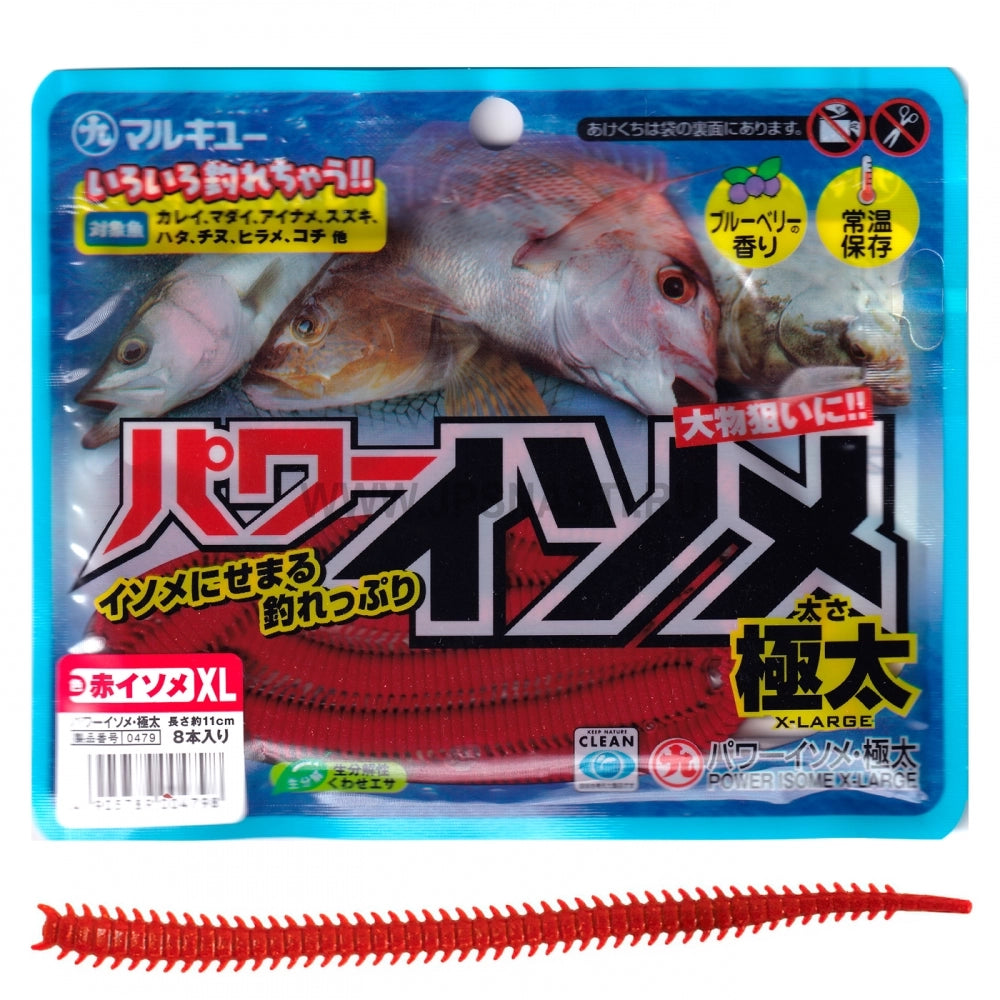 Marukyu Power Isome Ragworm (X-Large) – DENNISTONS